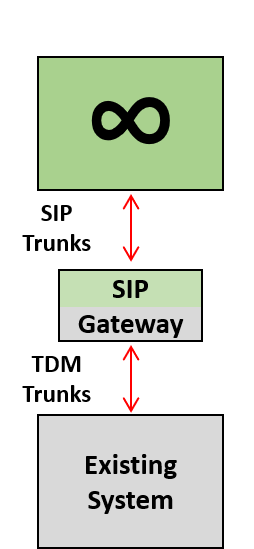 InfinityOne WHS – SIP Trunk Options – Documentation E-MetroTel